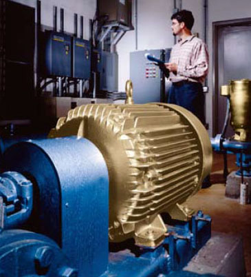 Motor Management Policy